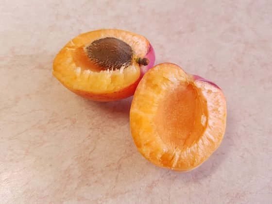 Apricot kernels for cancer - quackery or cure? - Food N Health